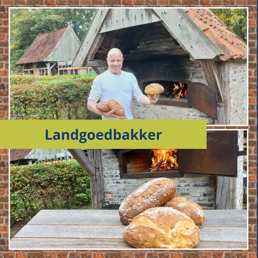 Ambachtelijk gebakken brood – RIBO